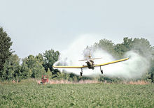 Roundup und Gentechnik-Pflanzen